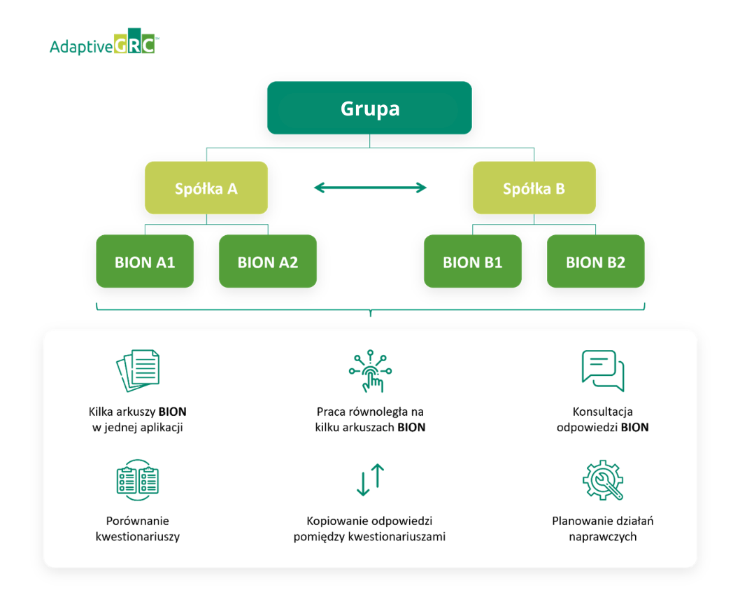 Kwestionariusz BION w sektorze finansowym - jak wypełnić?